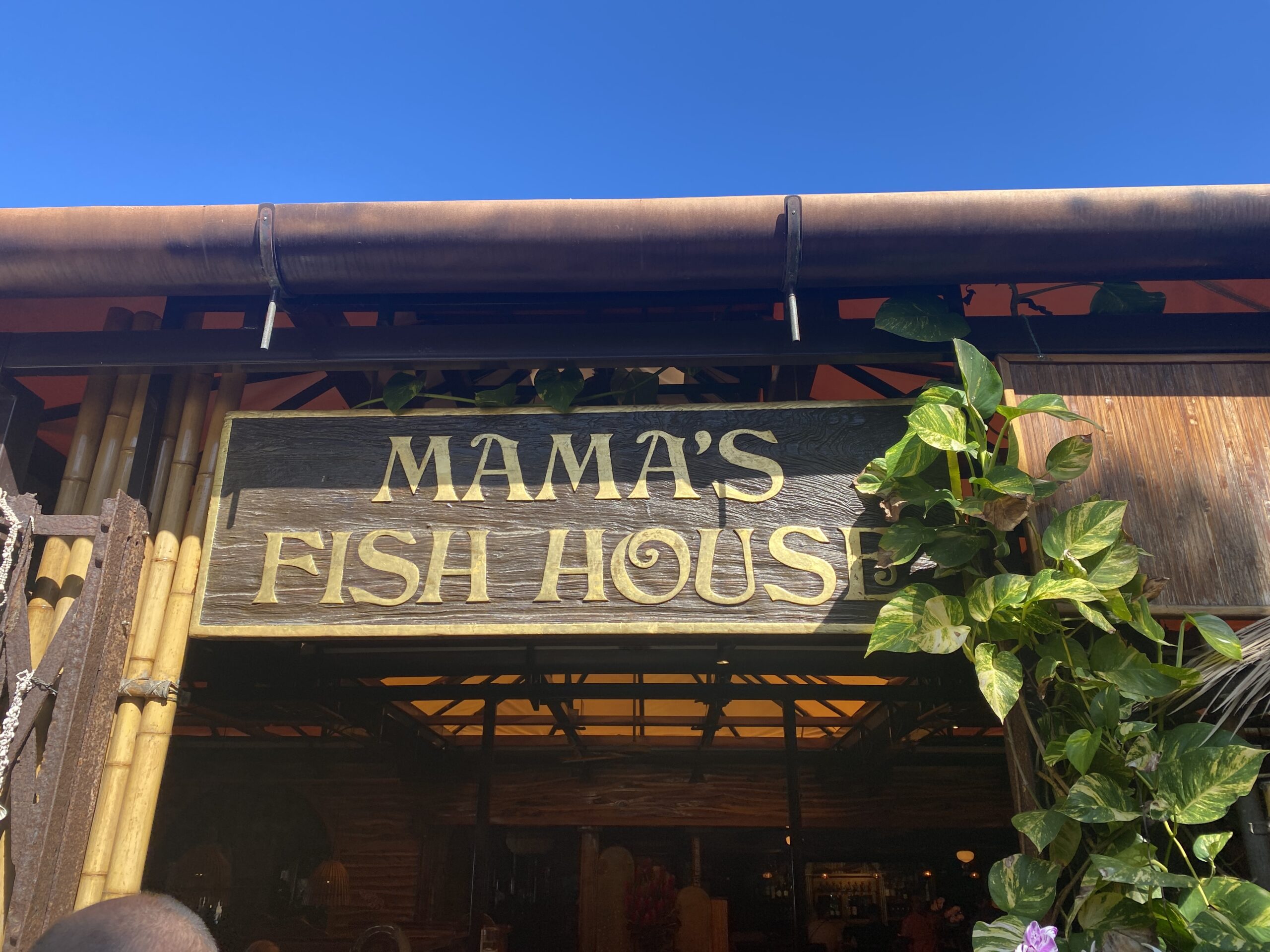 Mama’s Fish House – Traveling with Justin